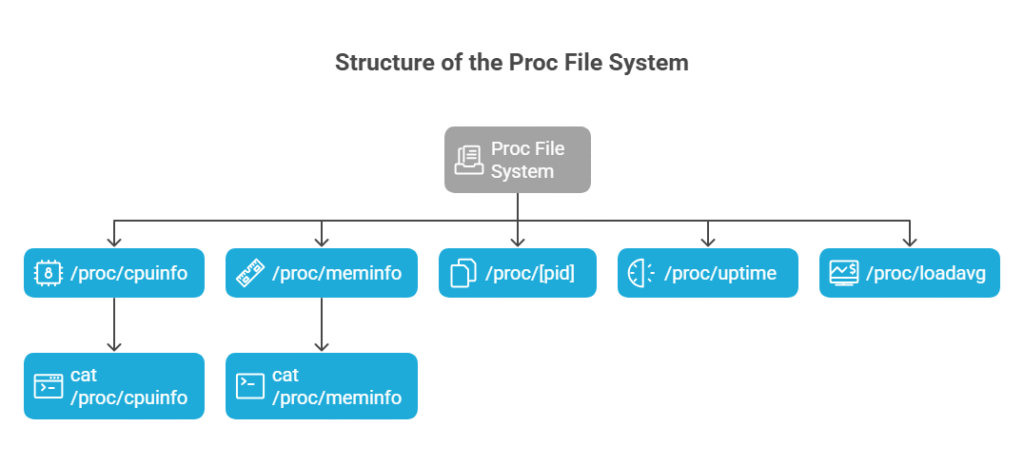 Linux /proc Directory Explained: Accessing Process and System ...